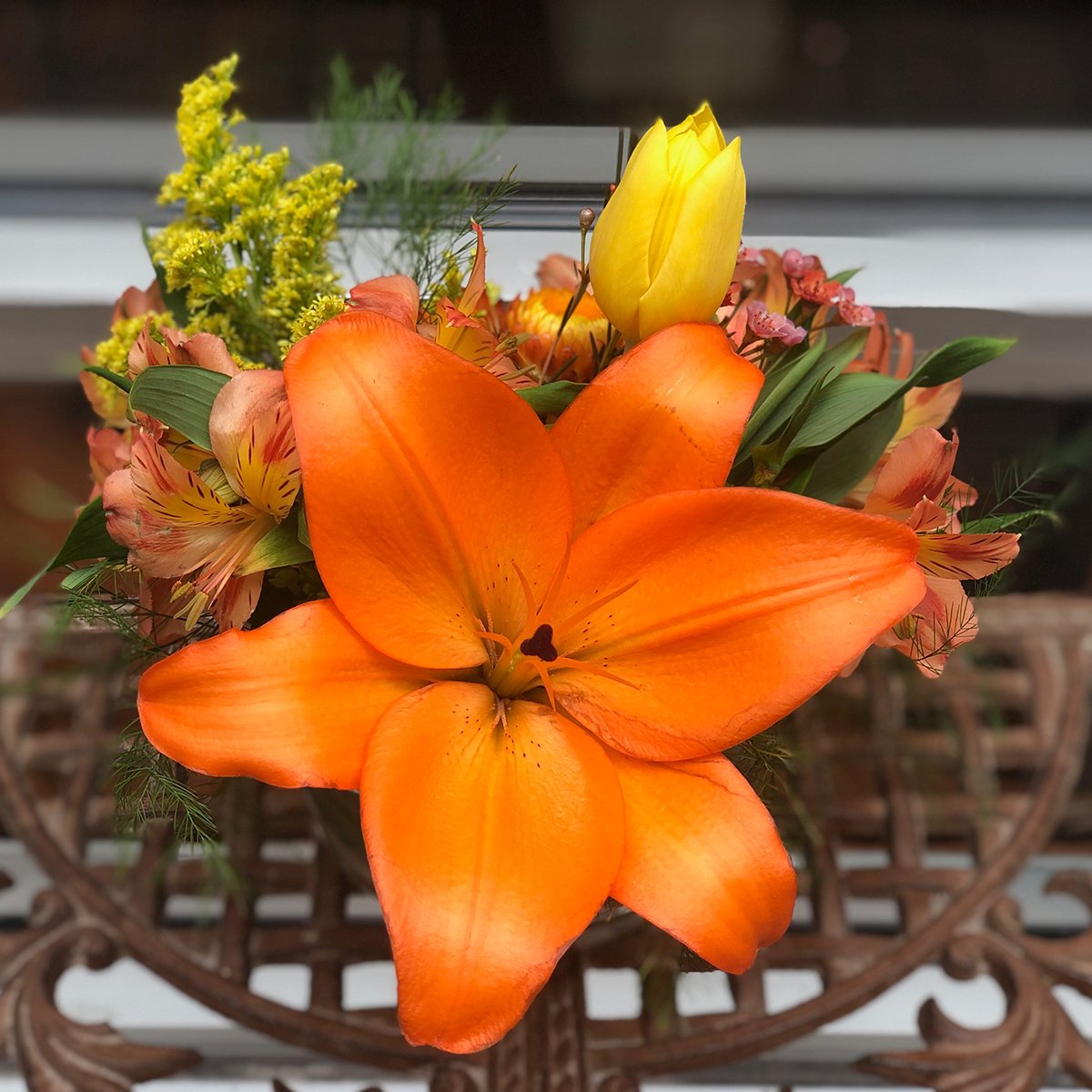 Ember Lilies – The Lily Palmer Flower Co.