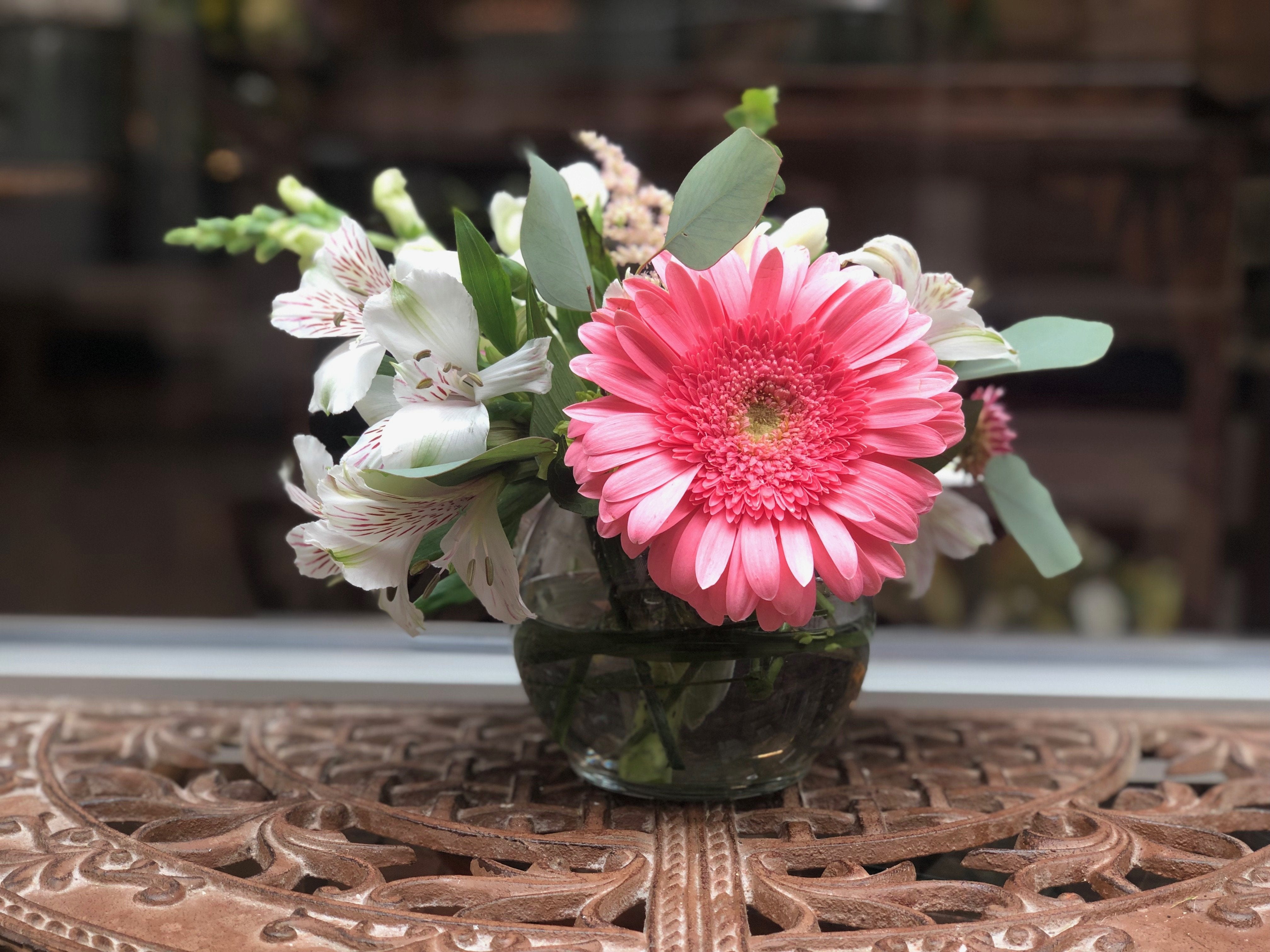 Gerber Paradise – The Lily Palmer Flower Co.