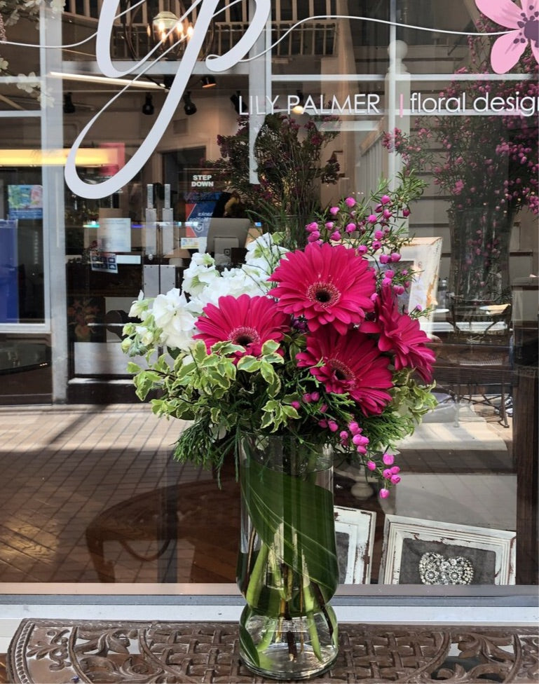 Pink Gerber Delight – The Lily Palmer Flower Co.